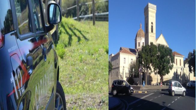 Picchiato, con le orecchie tagliate e la pelle bruciata: i 3 anni di ...