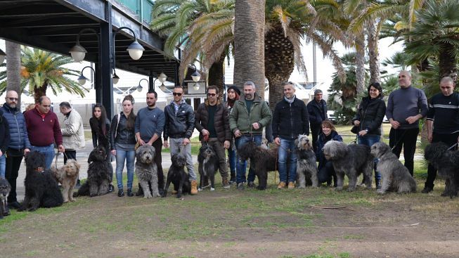 Cagliari, cani in passerella alla Fiera: pastore fonnese show-VIDEO ...