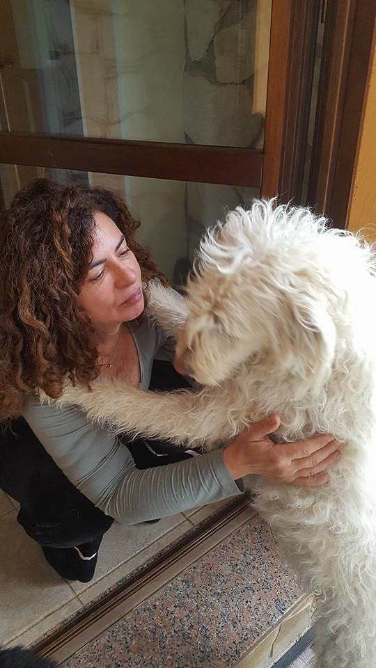 Bianca, un dolcissimo pastore fonnese, è scappato ieri notte a Flumini ...