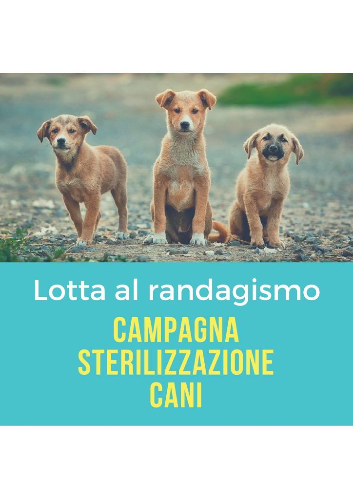 locandina-randagismo - Casteddu On line